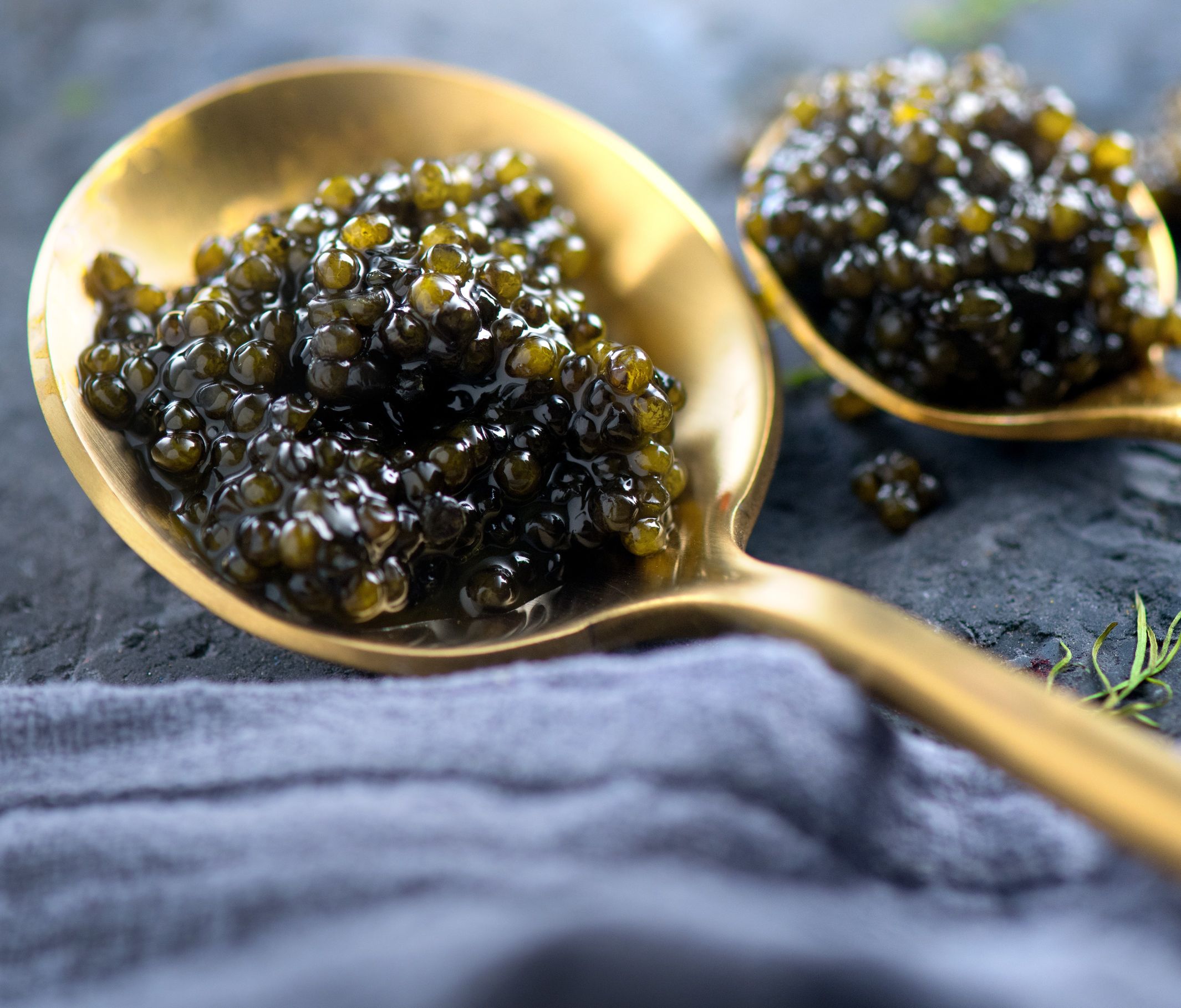 Black caviar helps to increase hemoglobin – Royal Touch Caviar
